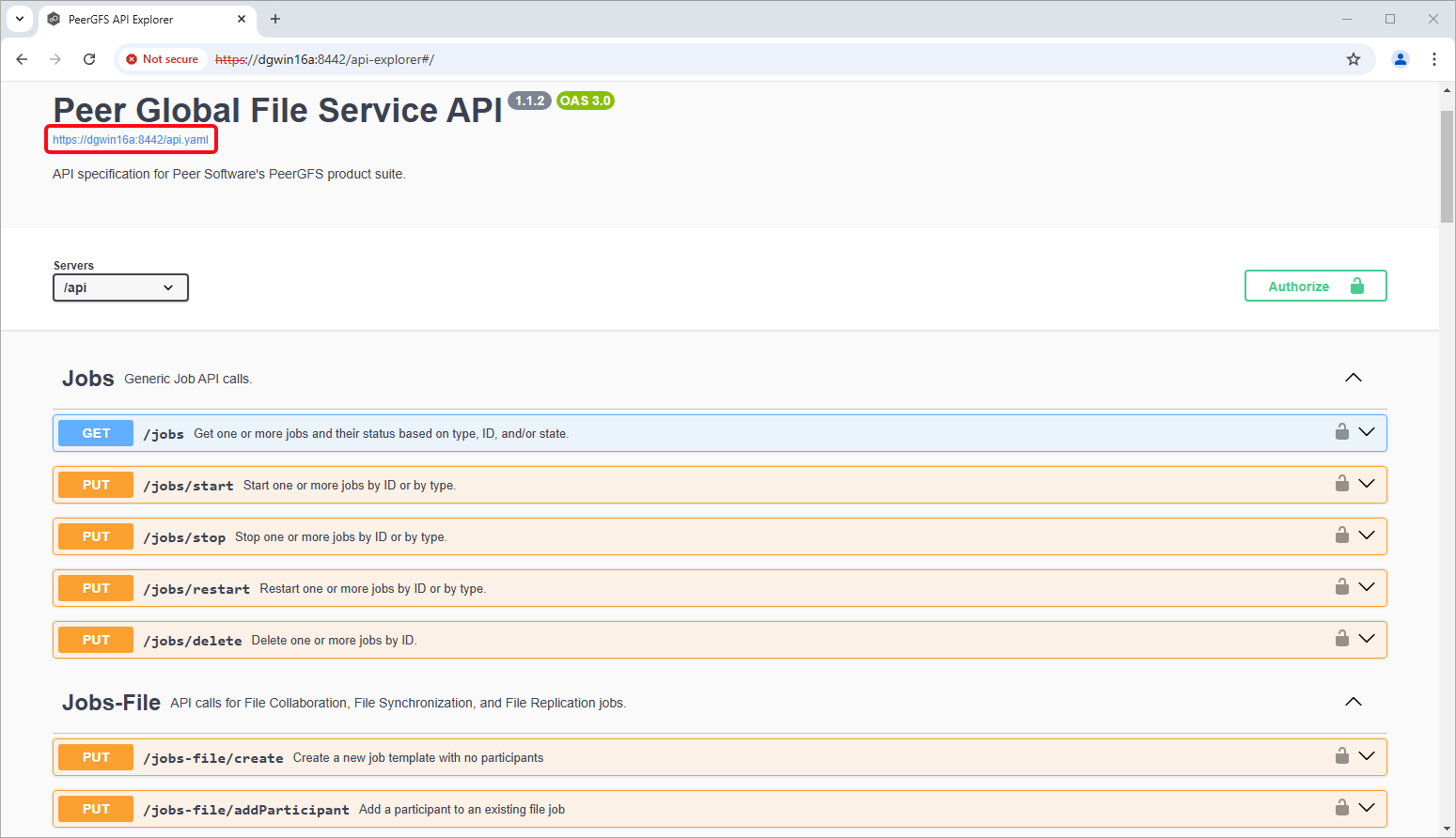 Generating Client Code for PeerGFS API with Swagger.io